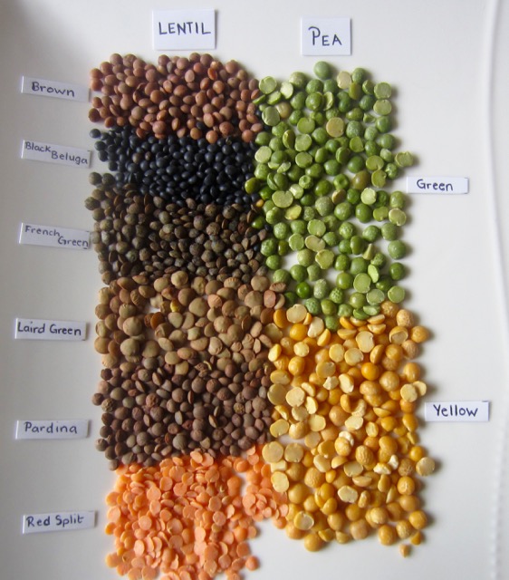 Are lentils and split peas interchangeable?