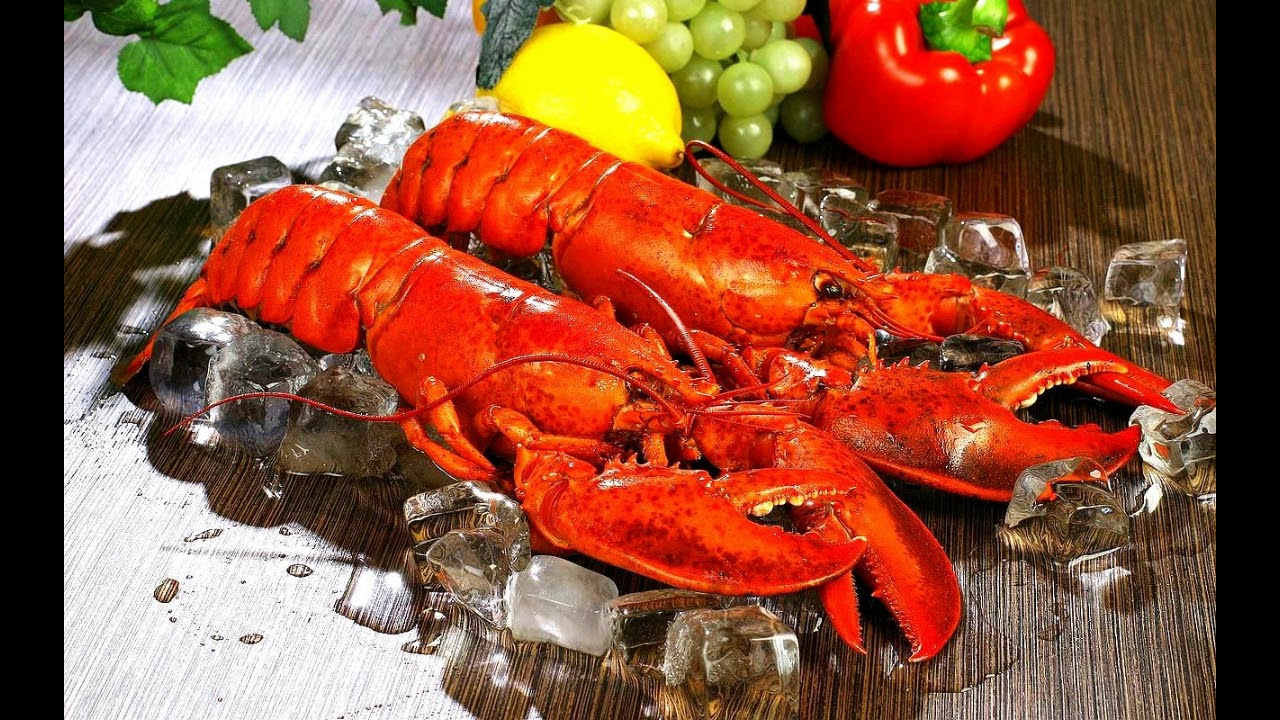 Are lobsters alive when frozen?