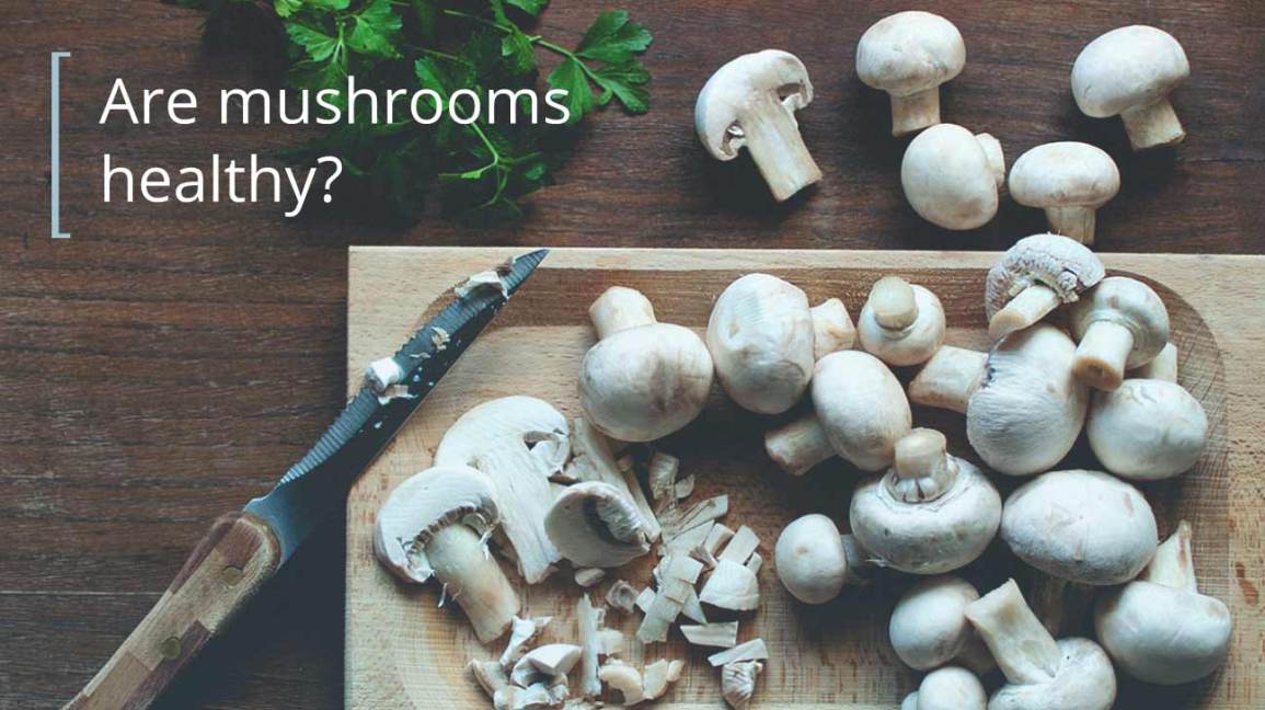 Are mushrooms good or bad for You?