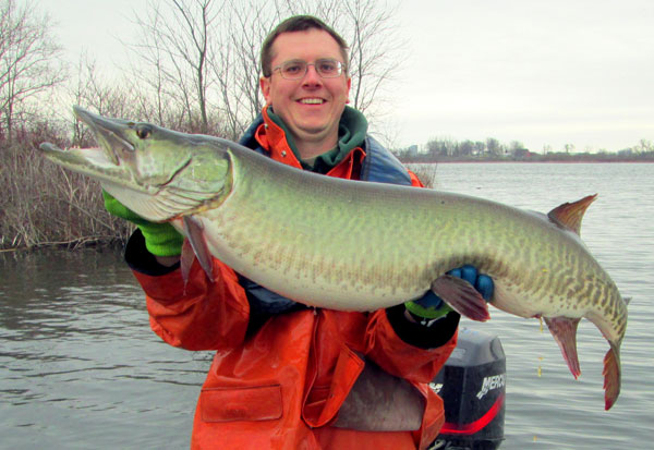 Are muskie endangered?