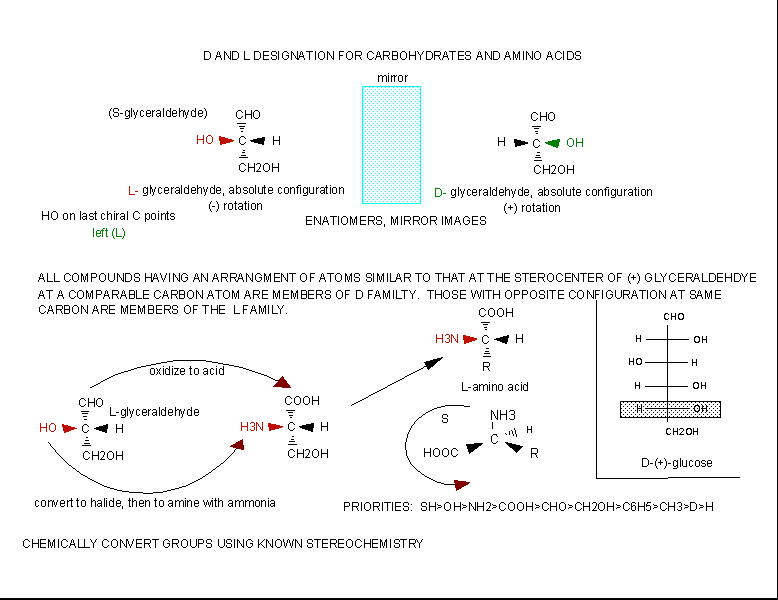 Are naturally occurring amino acids L or D?