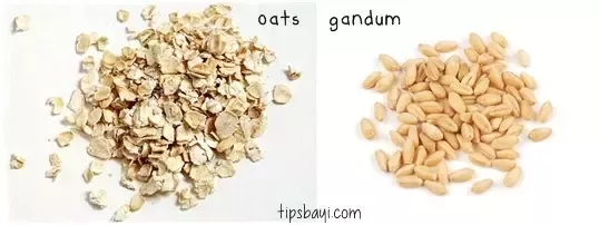 Are oats and grains the same thing?