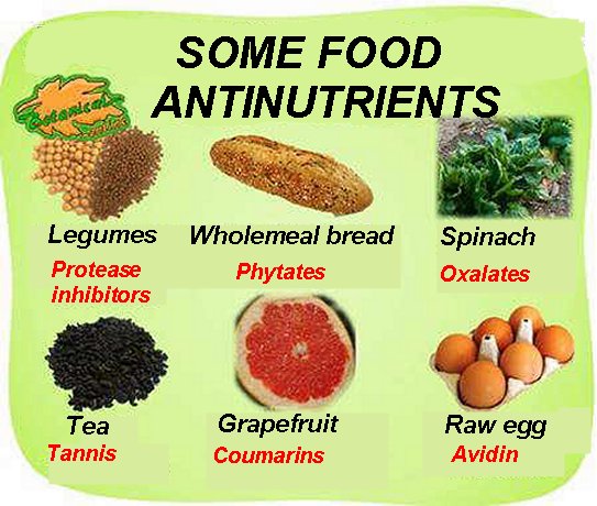 Are oats anti nutrients?