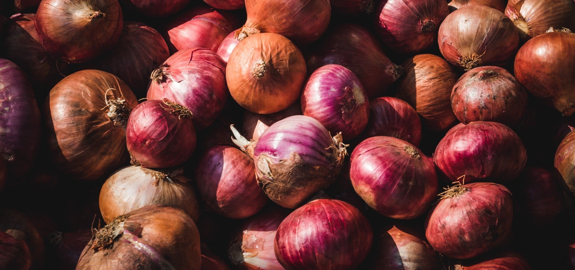 Are onions to blame for the Salmonella outbreak?