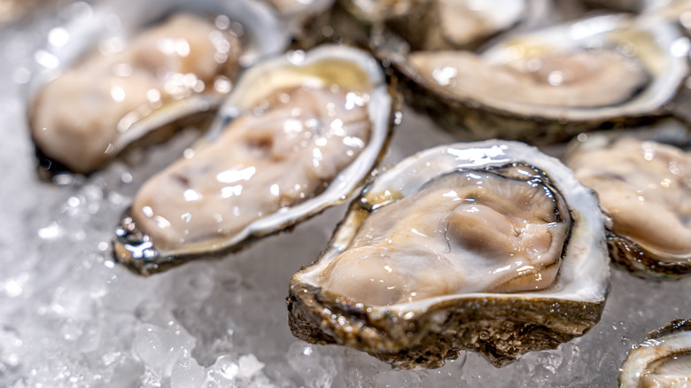 Are oysters alive when you eat them out of the shell?