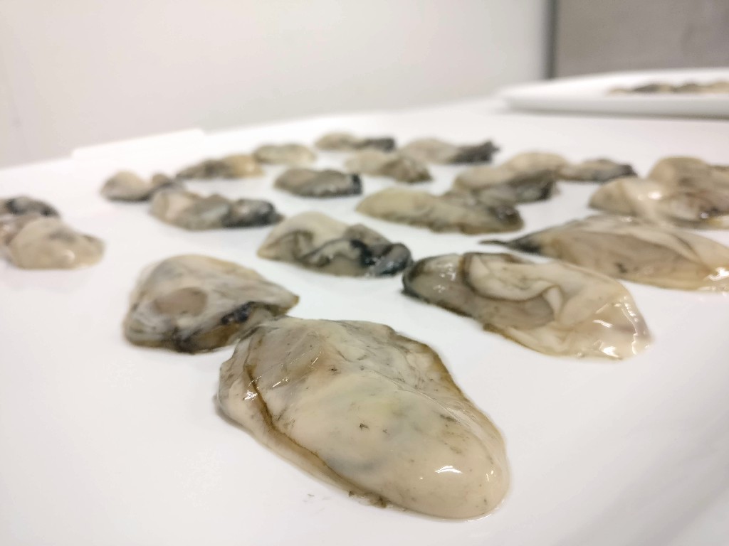 Are oysters flash frozen?