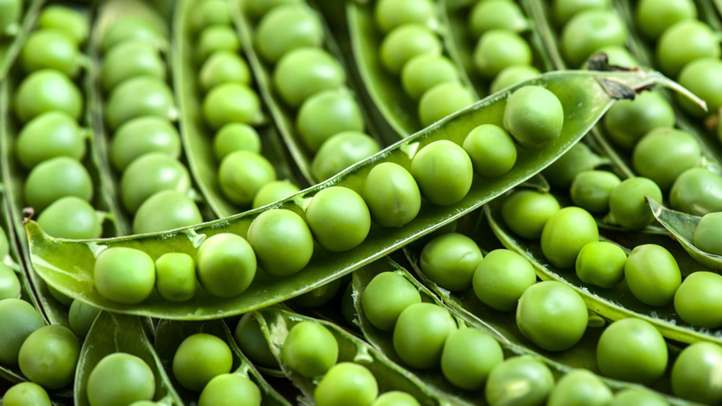 Are pea and soy the same?