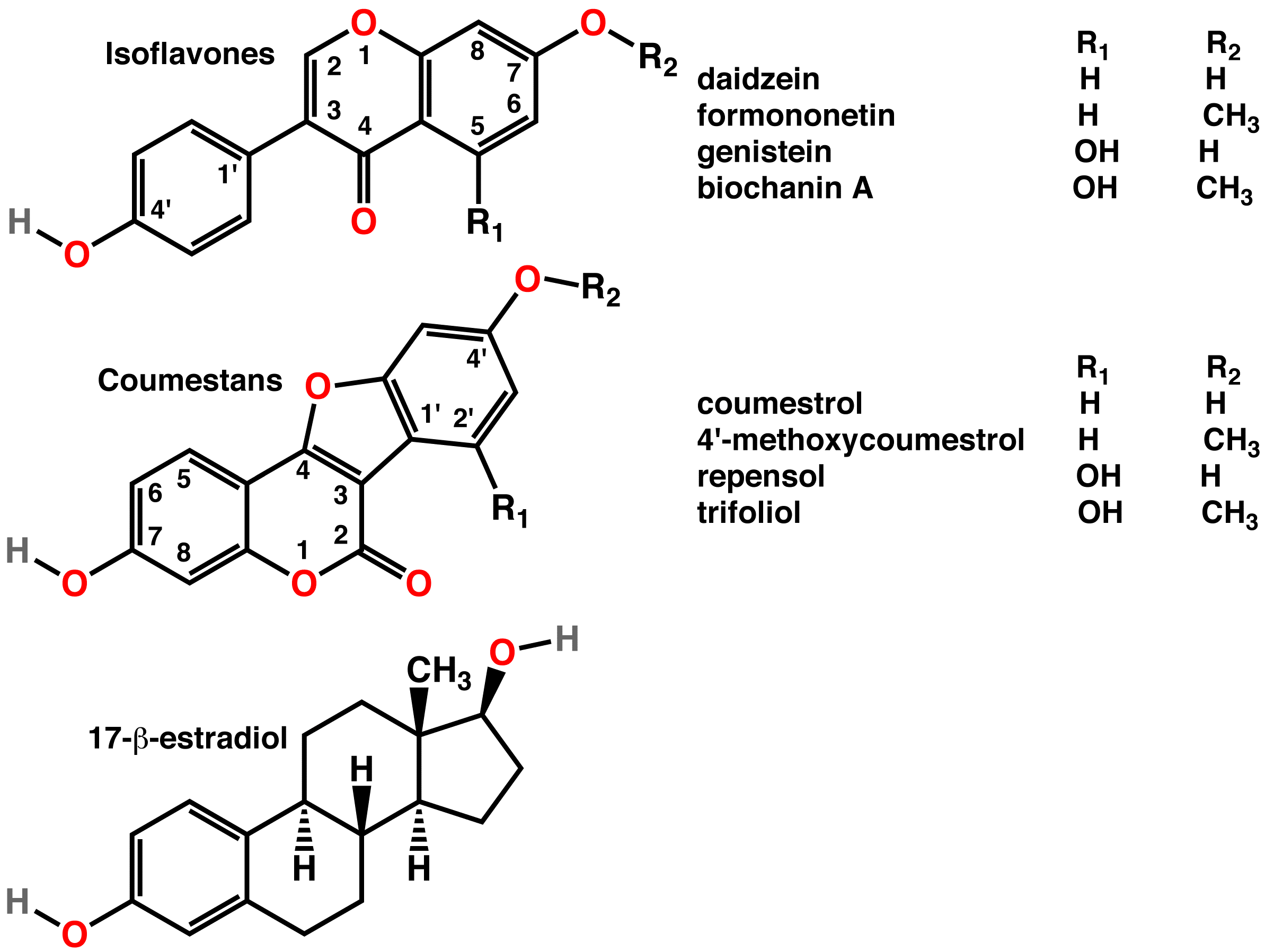 Are phytoestrogens safe?