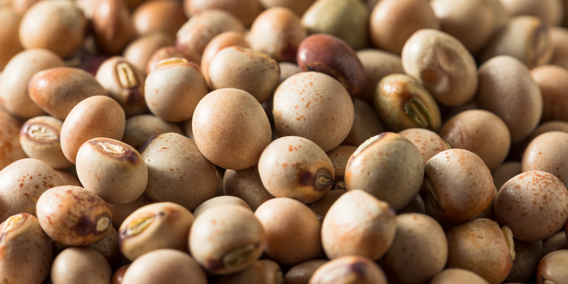 Are pigeon peas actually peas?
