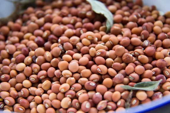 Are pigeon peas and Gungo peas the same thing?