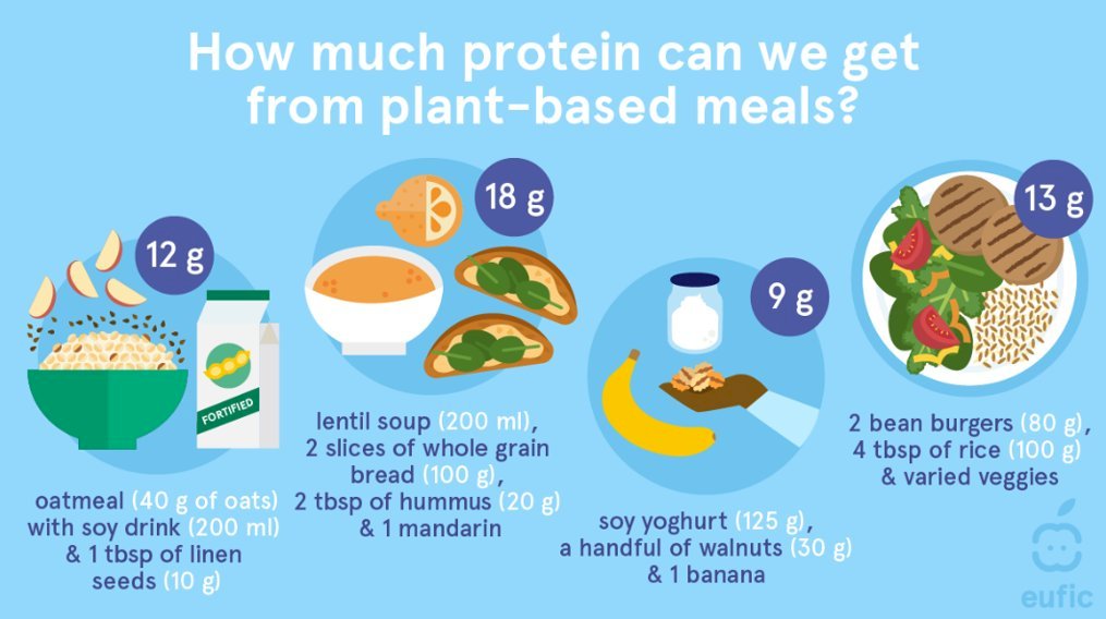 Are plant-based diets low in protein?