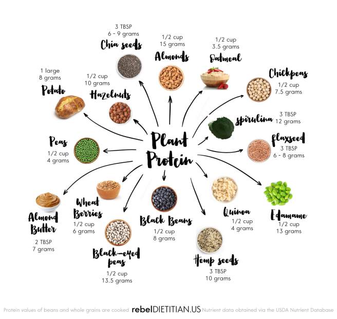 Are plant protein sources complete or incomplete?