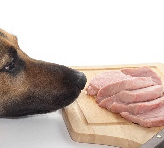 Are pork chops healthy for dogs?