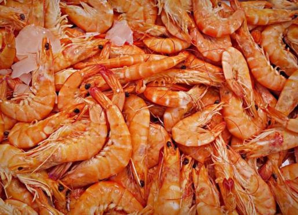 Are prawn heads toxic?