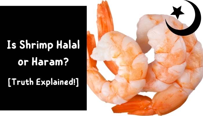 Are prawns and shrimp halal?