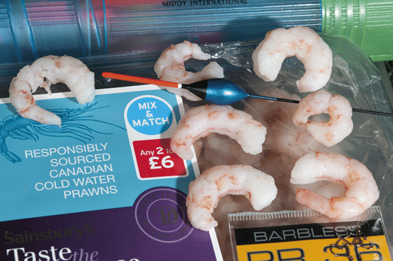 Are prawns any good for fishing bait?