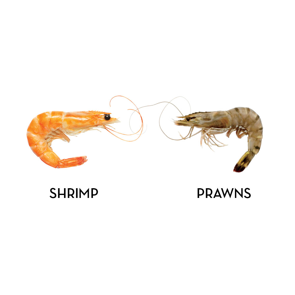 Are prawns better than shrimp?