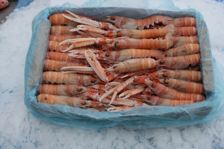 Are prawns frozen at sea?