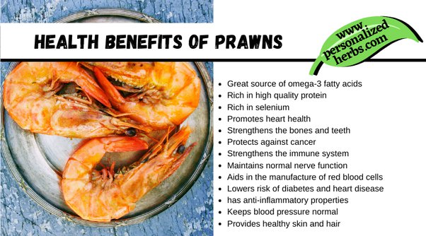 Are prawns good for bones?