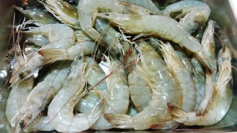 Are prawns really more expensive than we think they are?