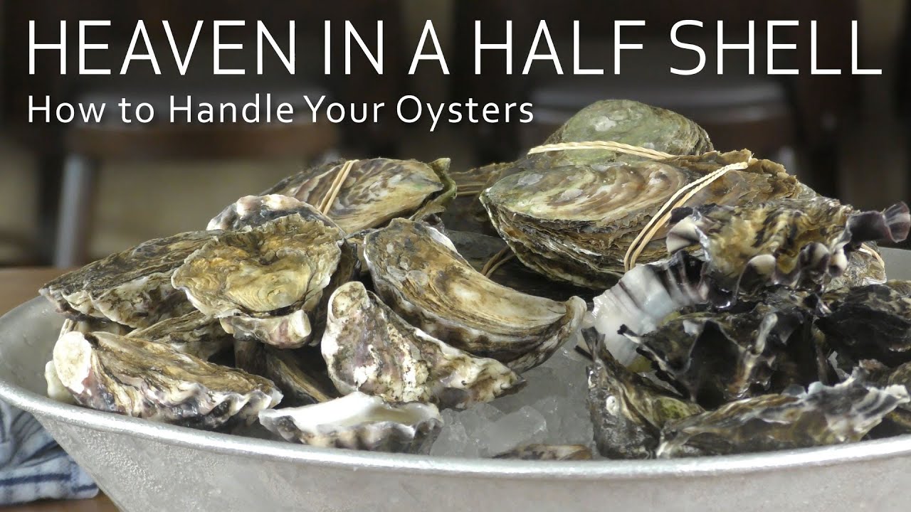 Are pre-shucked oysters worth the cost?