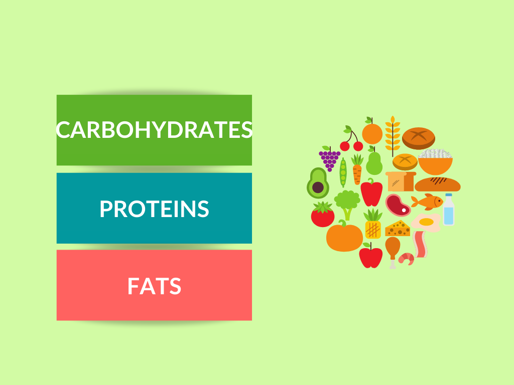 Are proteins and fat the same thing?