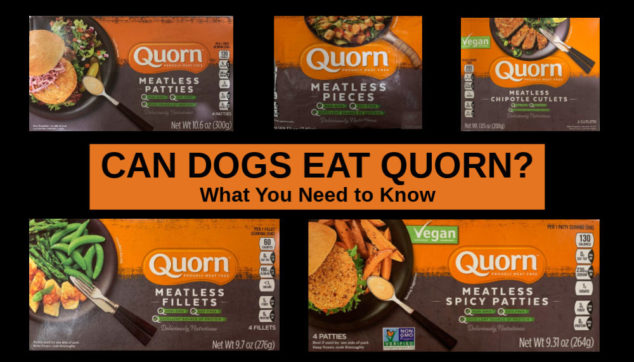 Are Quorn sausages OK for dogs?