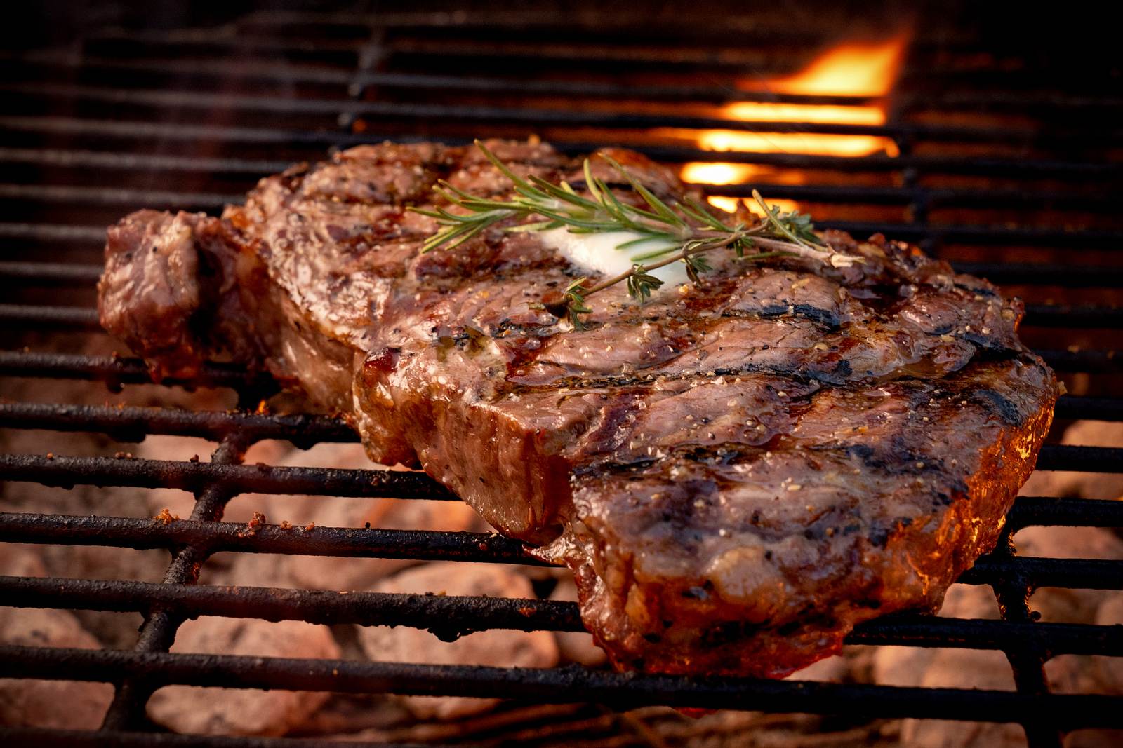 Are rib eye steaks good to grill?