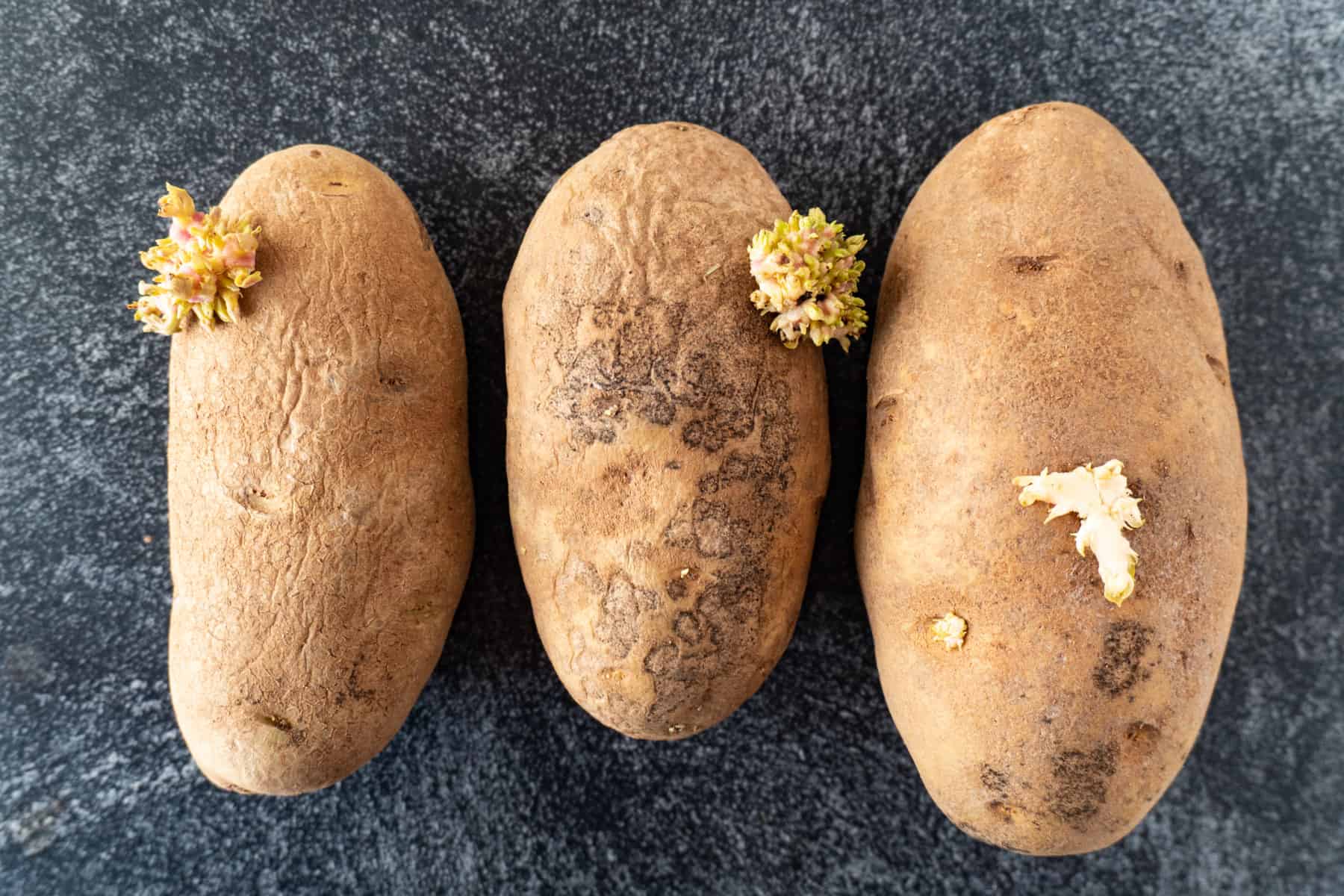 Are russet potatoes bitter?