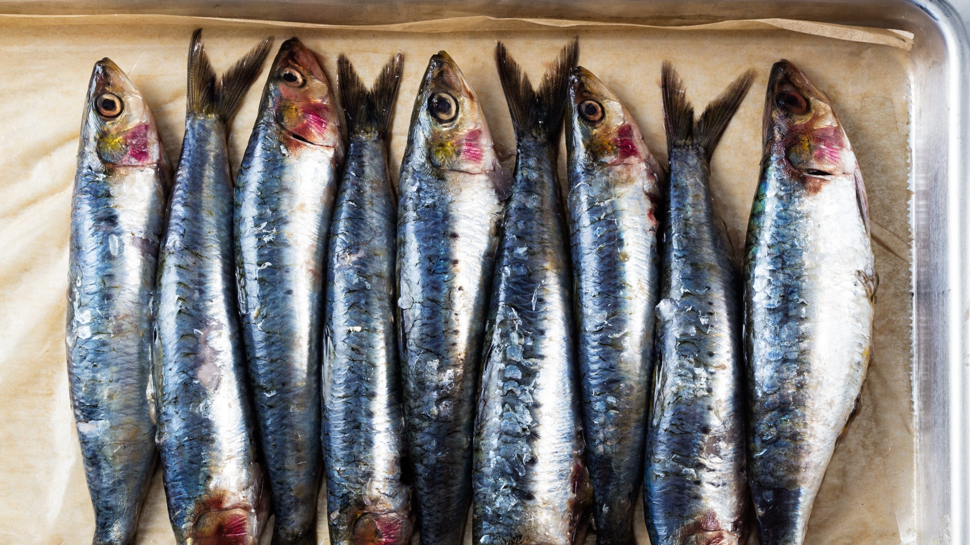 Are sardine bones crunchy?