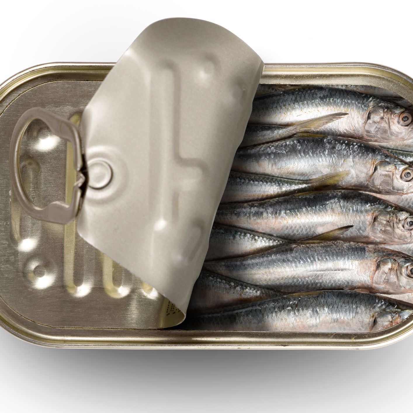 Are sardines cooked in the tin?