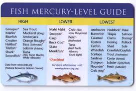 Are sardines high in mercury?