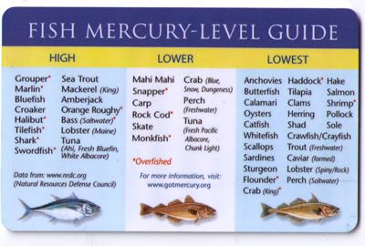Are scallops and shrimp high in mercury?