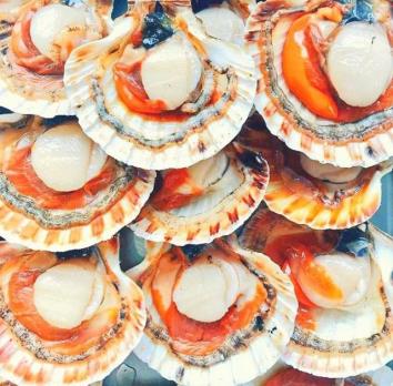 Are scallops good for You?