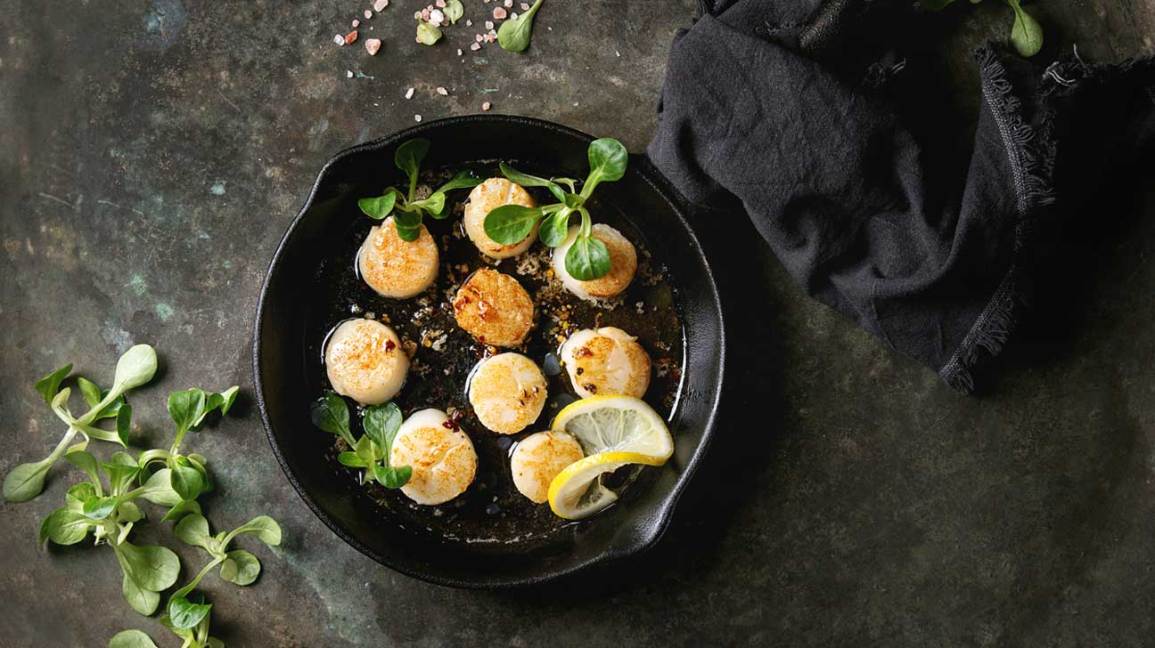 Are scallops protein or fat?