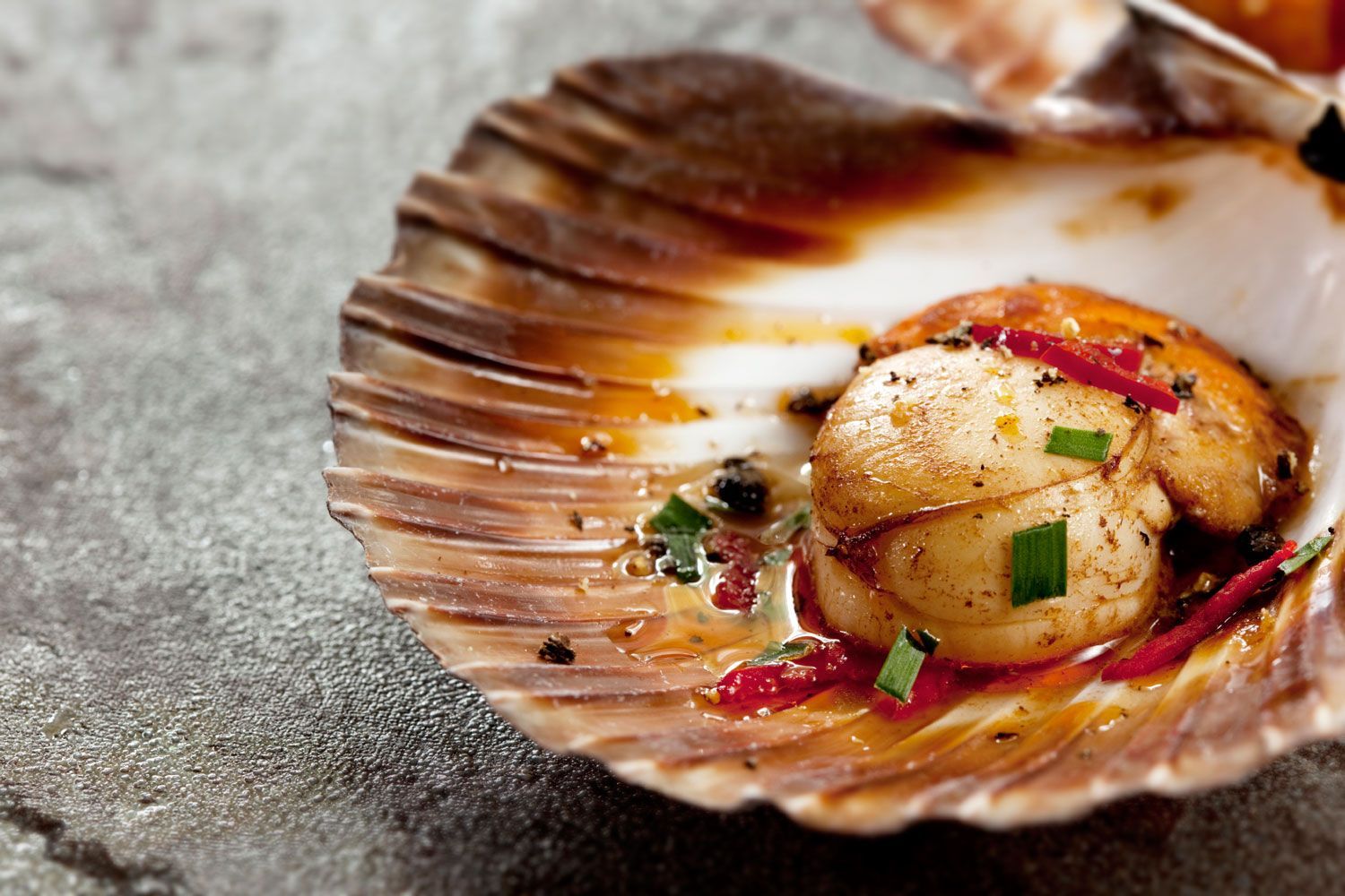 Are scallops served in the shell?