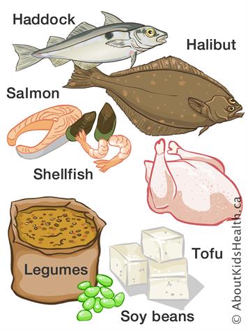 Are shellfish high in potassium?