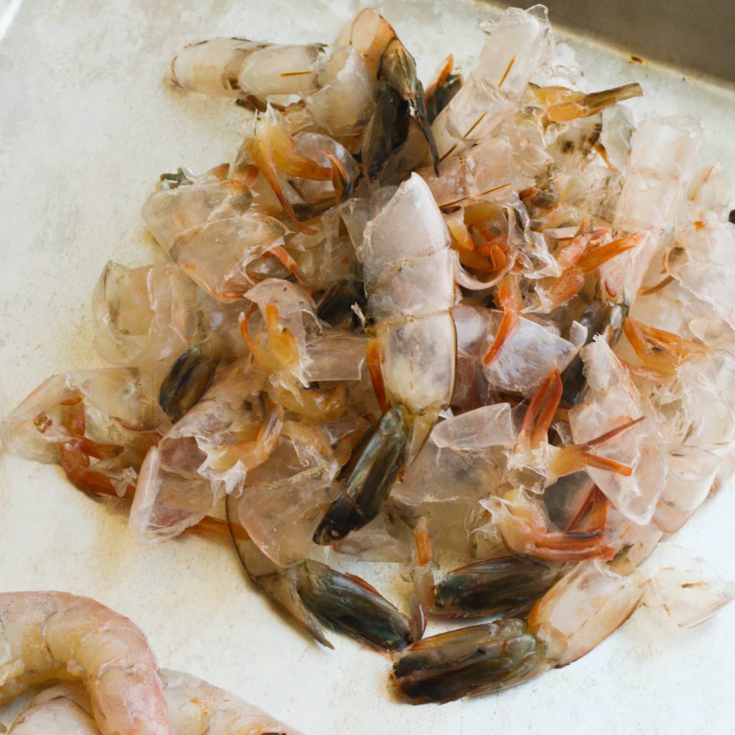 Are shrimp shells good for stock?