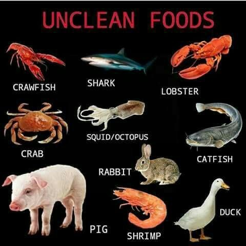 Are shrimp unclean to eat?