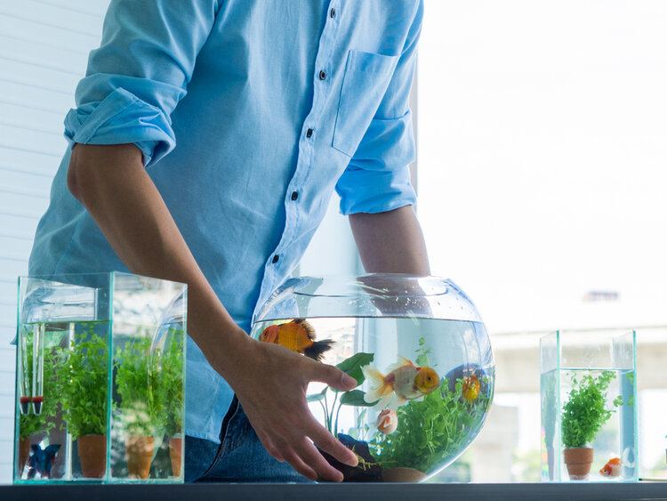 Are small fish tanks harder to maintain?