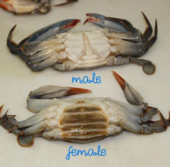 Are soft shell crabs cleaned before frying?