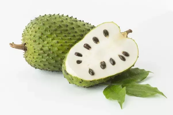 Are soursop seeds edible?