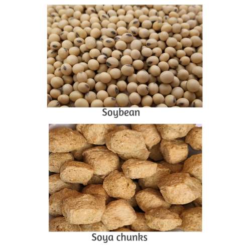 Are soy and soybean the same thing?