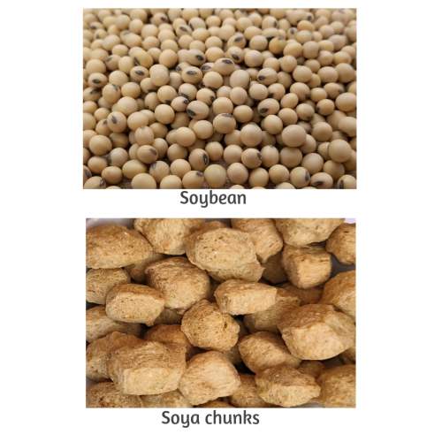 Are soy and soybeans the same?