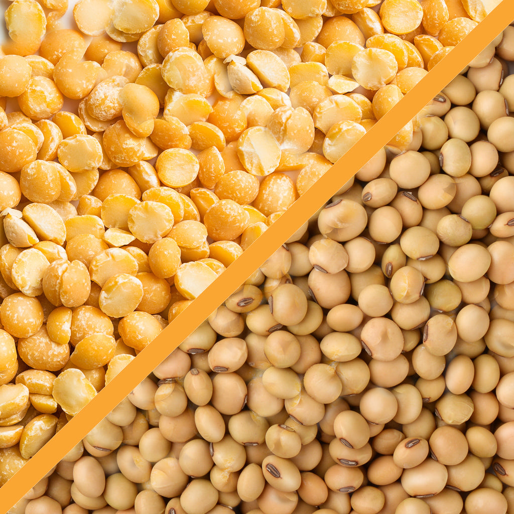 Are soybeans and peas related?