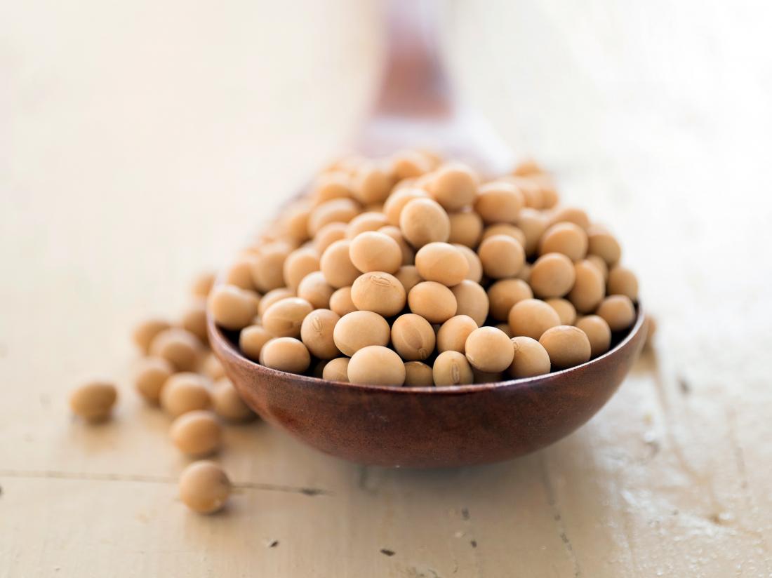 Are soybeans full of protein?