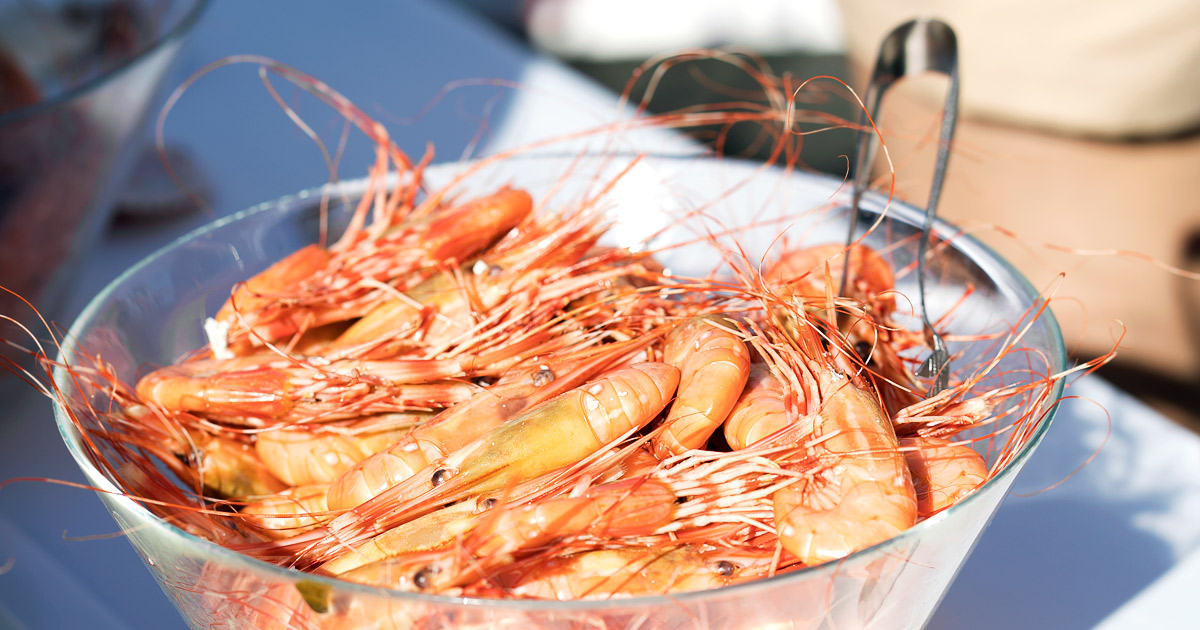 Are spot prawns sustainable?