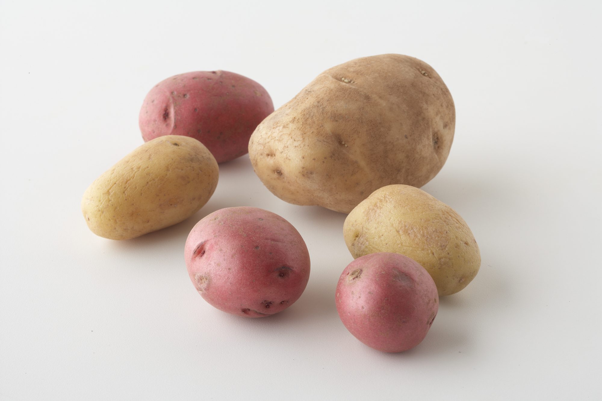 Are starchy potatoes good for roasting?