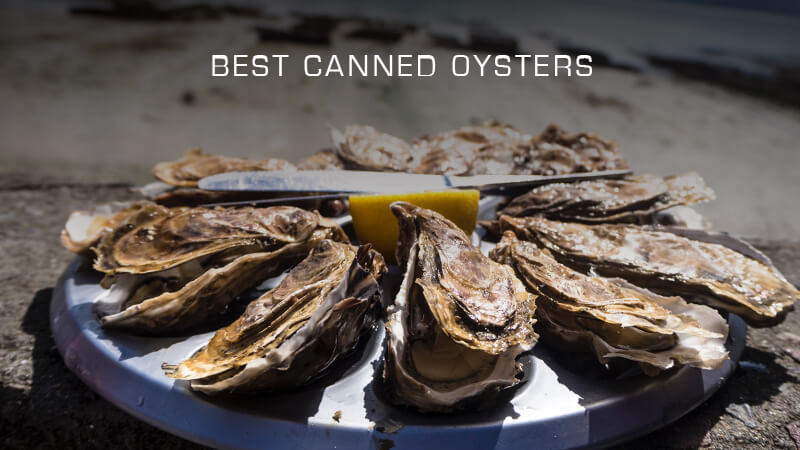 Are store bought oysters good?