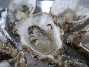Are Texas Gulf oysters good?